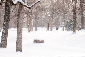 Admission & Aid | Centre College